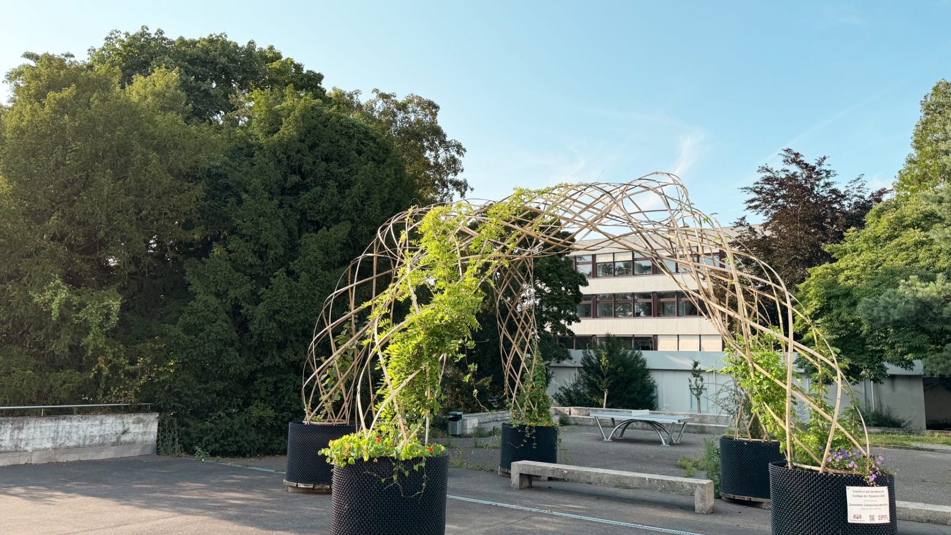 BamX! – Bamboo meets X-Shells ‐ EPFL